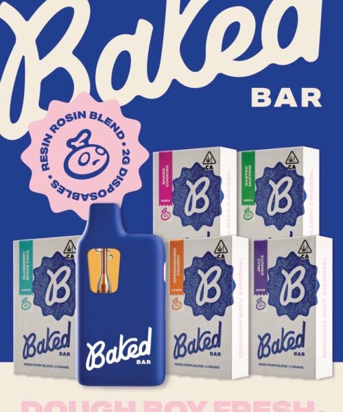 BAKED BAR DISPOSABLE - OFFICIAL WEBSITE